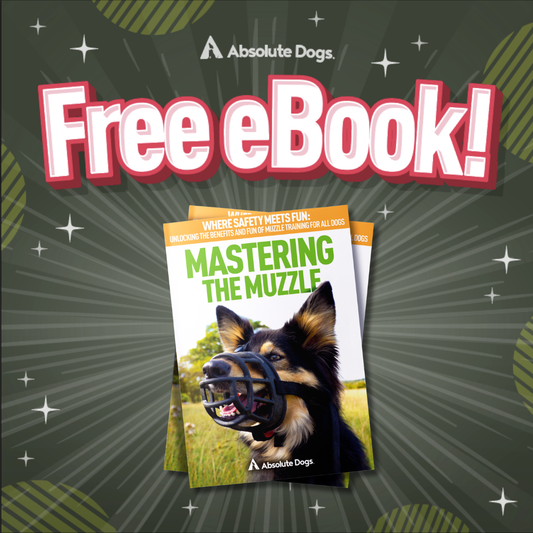 Get your FREE "Mastering the Muzzle" eBook – Absolute Dogs