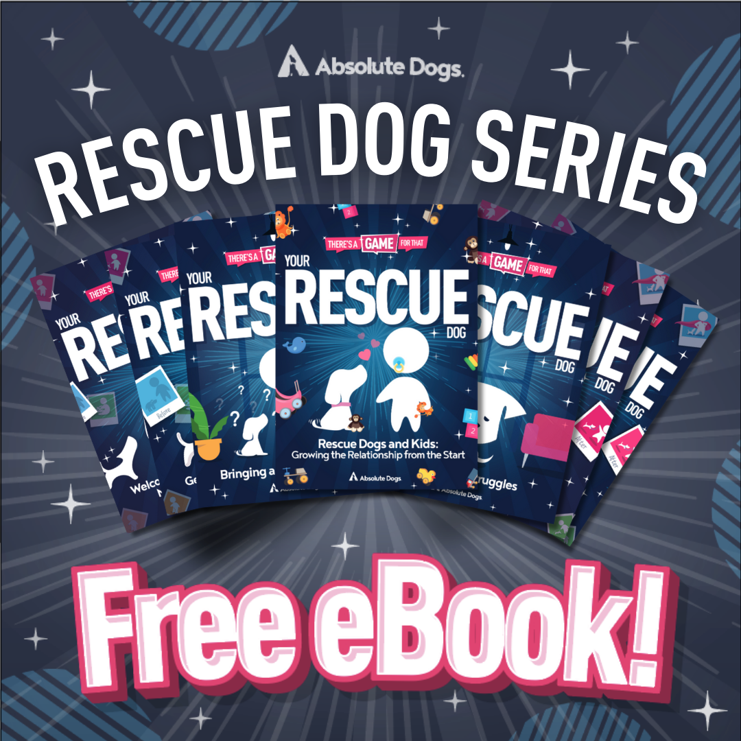 Get Your FREE Rescue Dog Resource Bundle! – Absolute Dogs