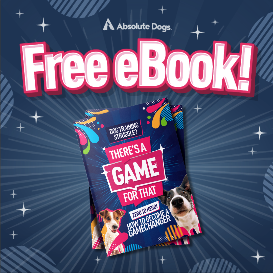 Get Your FREE There's A Game For That Zero To Hero eBook! – Absolute Dogs