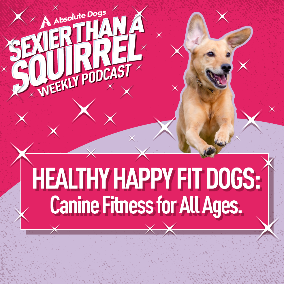 Healthy Happy Fit Dogs: Canine Fitness for All Ages – Absolute Dogs