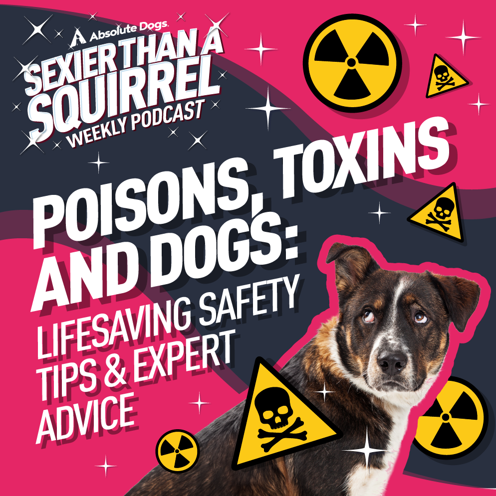 Poisons, Toxins and Dogs: Lifesaving Safety Tips & Expert Advice ...