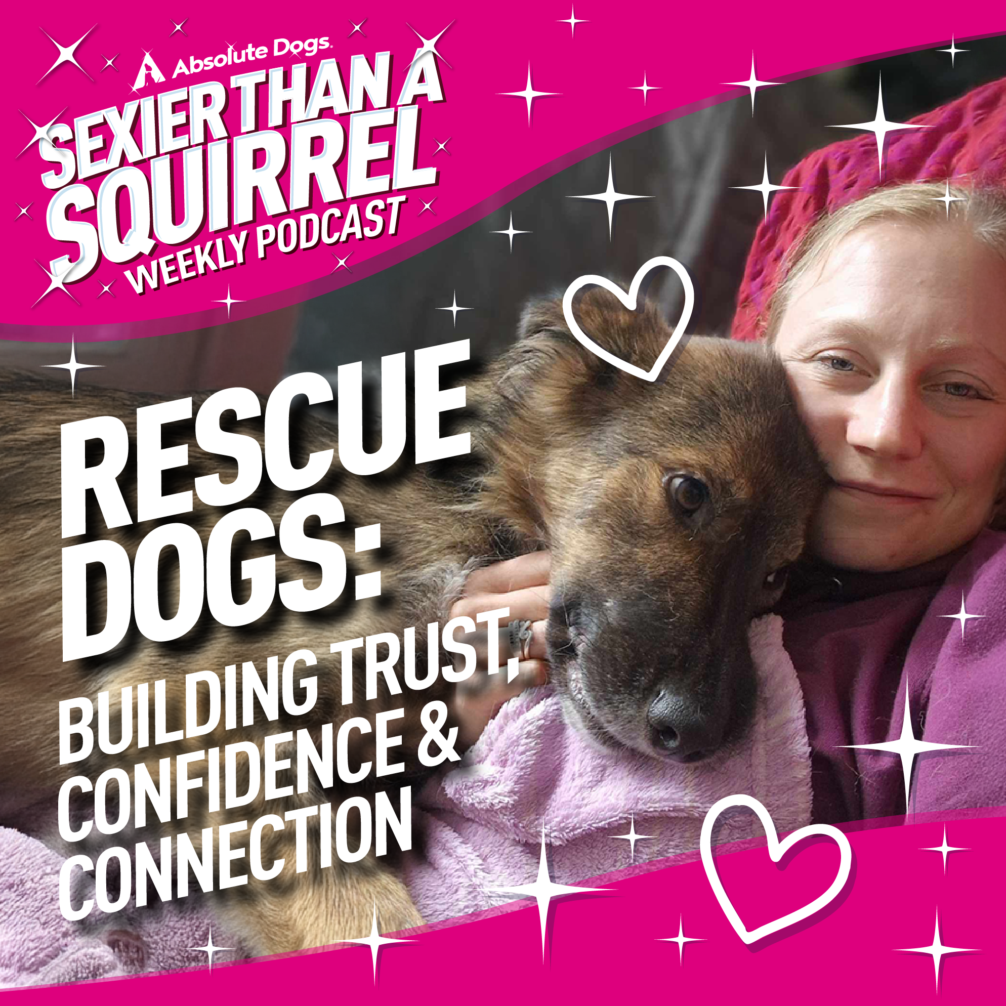 Rescue Dogs: Building Trust, Confidence and Connection – Absolute Dogs