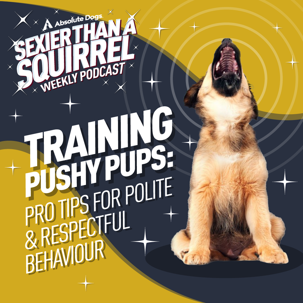 Training Pushy Pups: Pro Tips for Polite & Respectful Behaviour ...