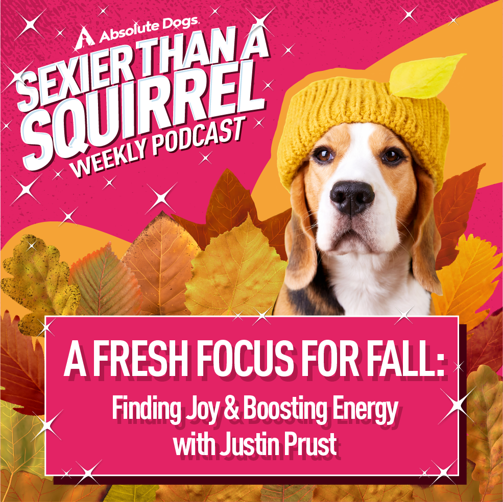 A Fresh Focus for Fall: Finding Joy & Boosting Energy with Justin ...