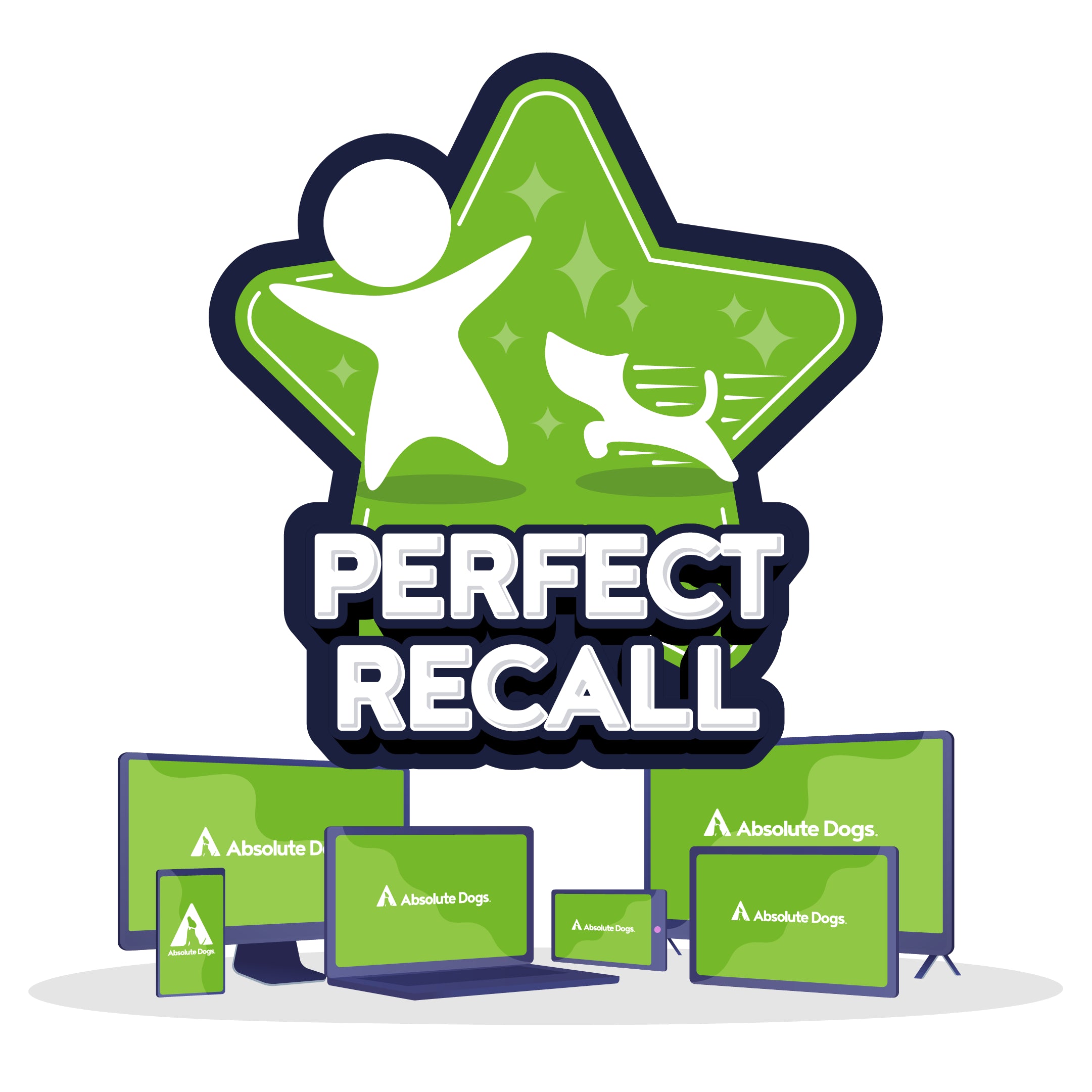 Behaviour Buster Perfect Recall Collection – Absolute Dogs
