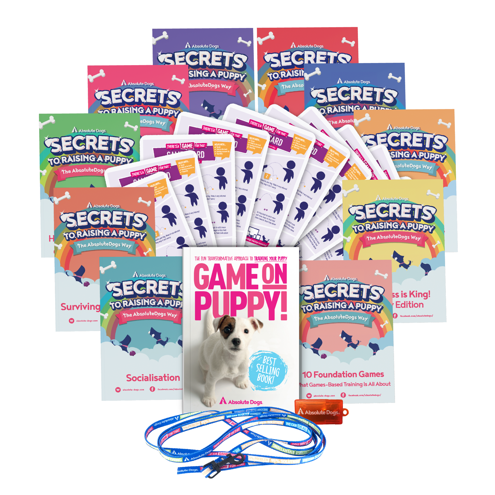 Puppy Training Solutions from Absolute Dogs