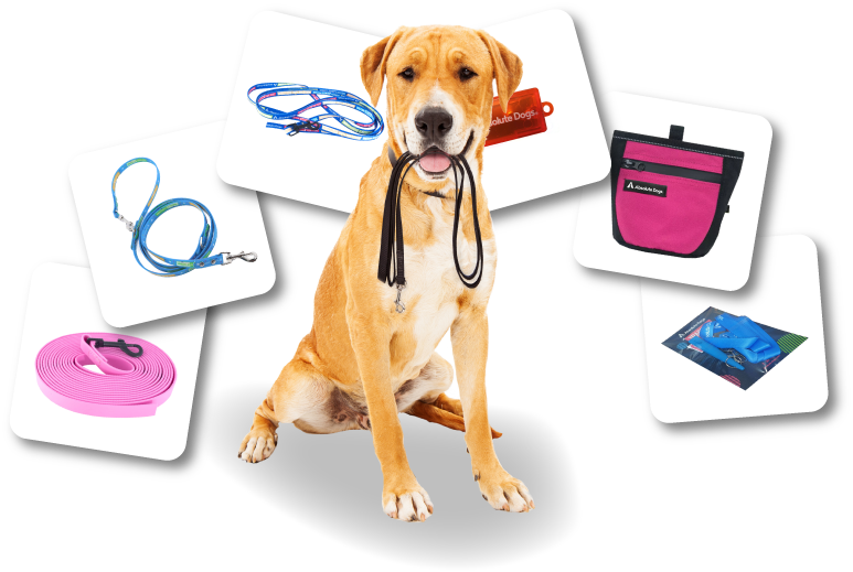 Training Aids from Absolute Dogs – Page 2