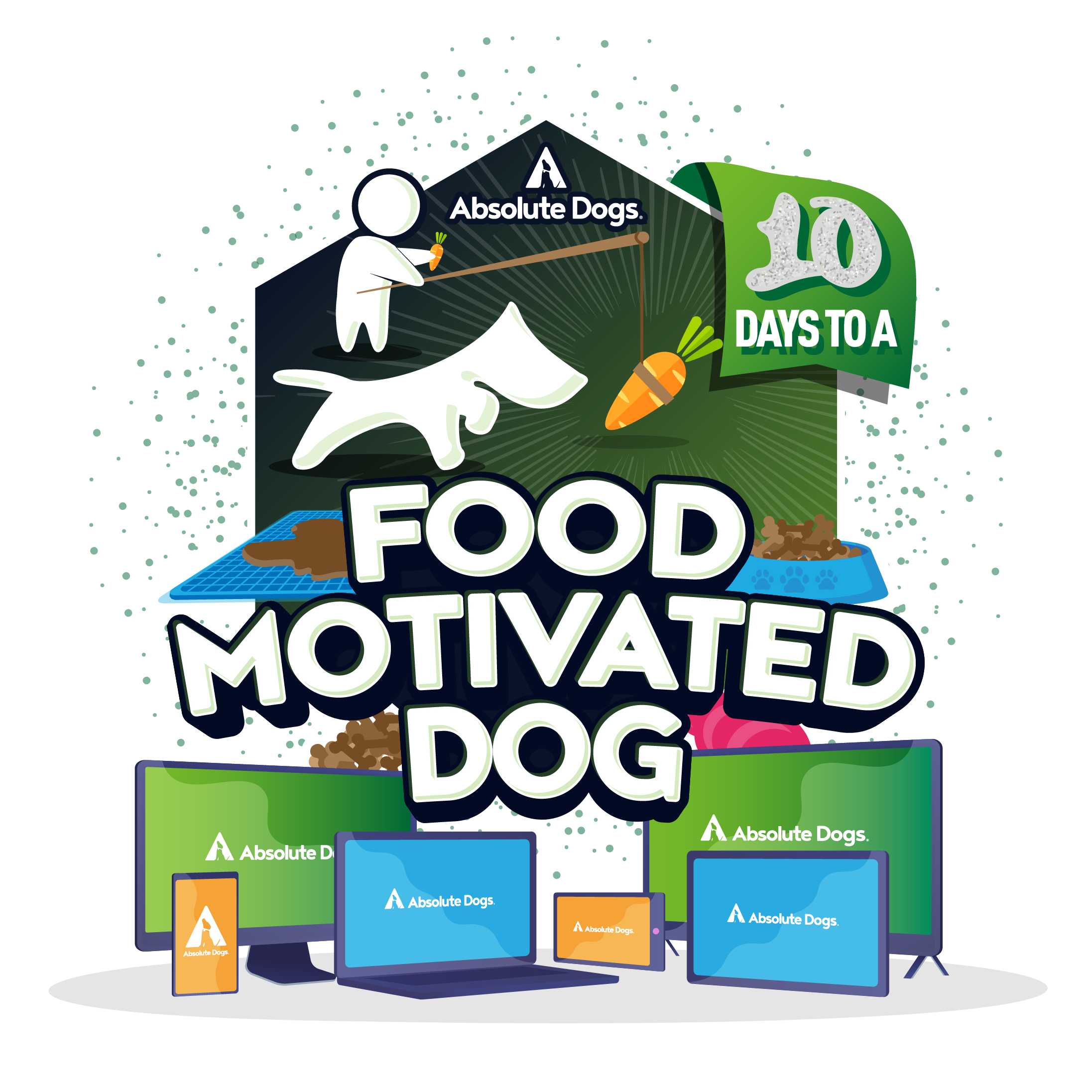 10 Days to a Food Motivated Dog – Absolute Dogs