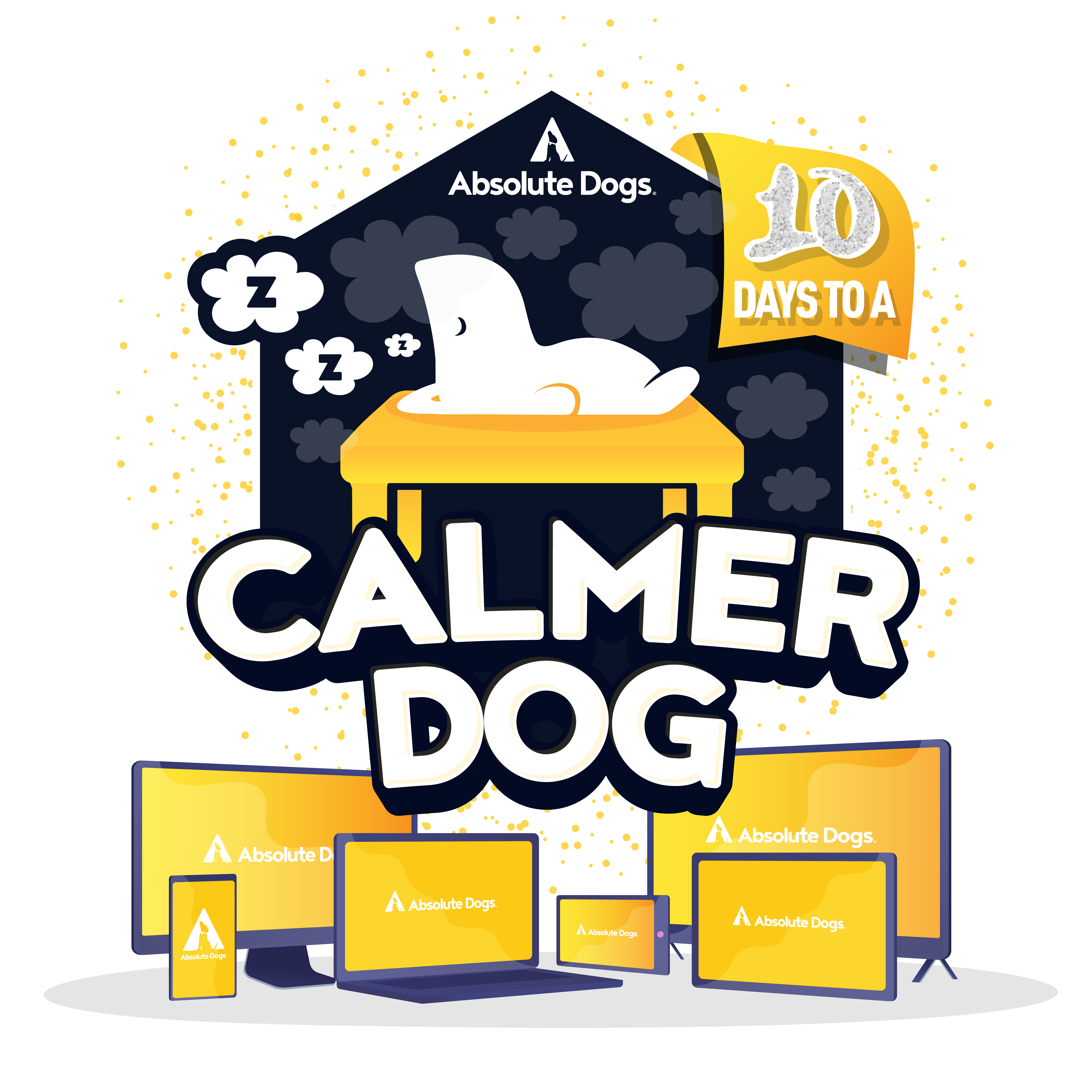 10 Days to a Calmer Dog – Absolute Dogs