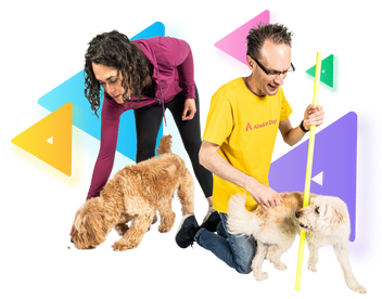 Absolute Dogs - Games Club