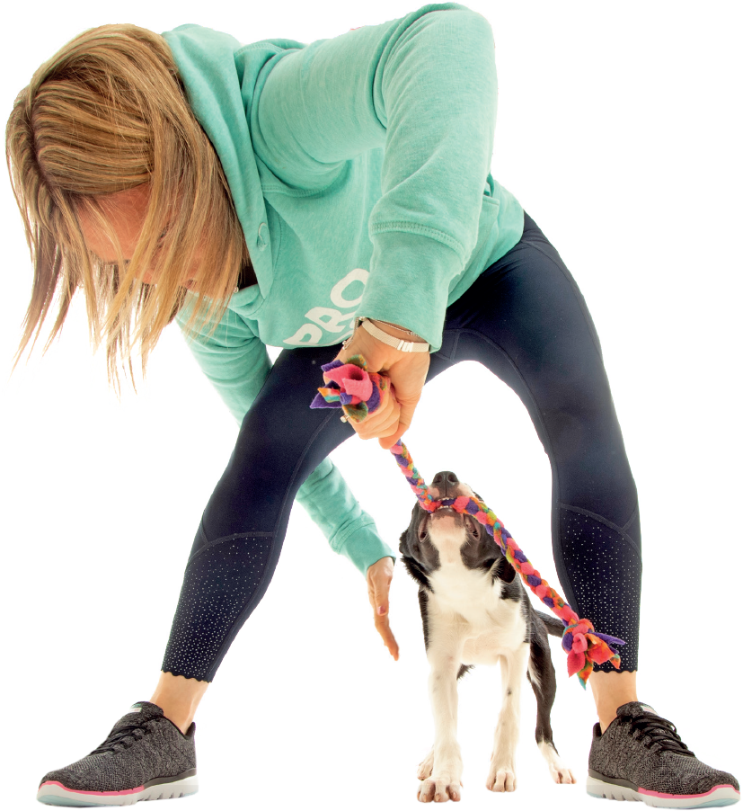 Our Methodology – Absolute Dogs