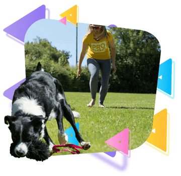Absolute Dogs - Games Club