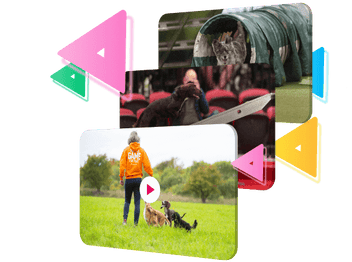 Absolute Dogs - Games Club